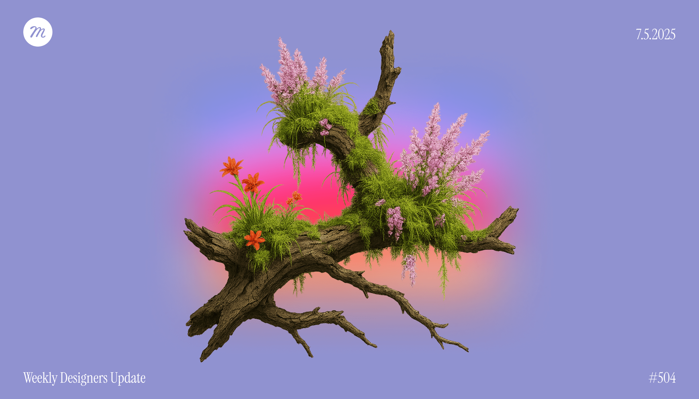 Weekly Designers Update #504 | Muzli Blog